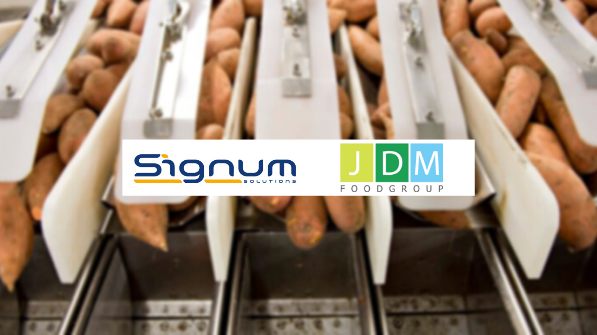 Signum Solutions | Manufacturing and sales growth for JDM Food Group