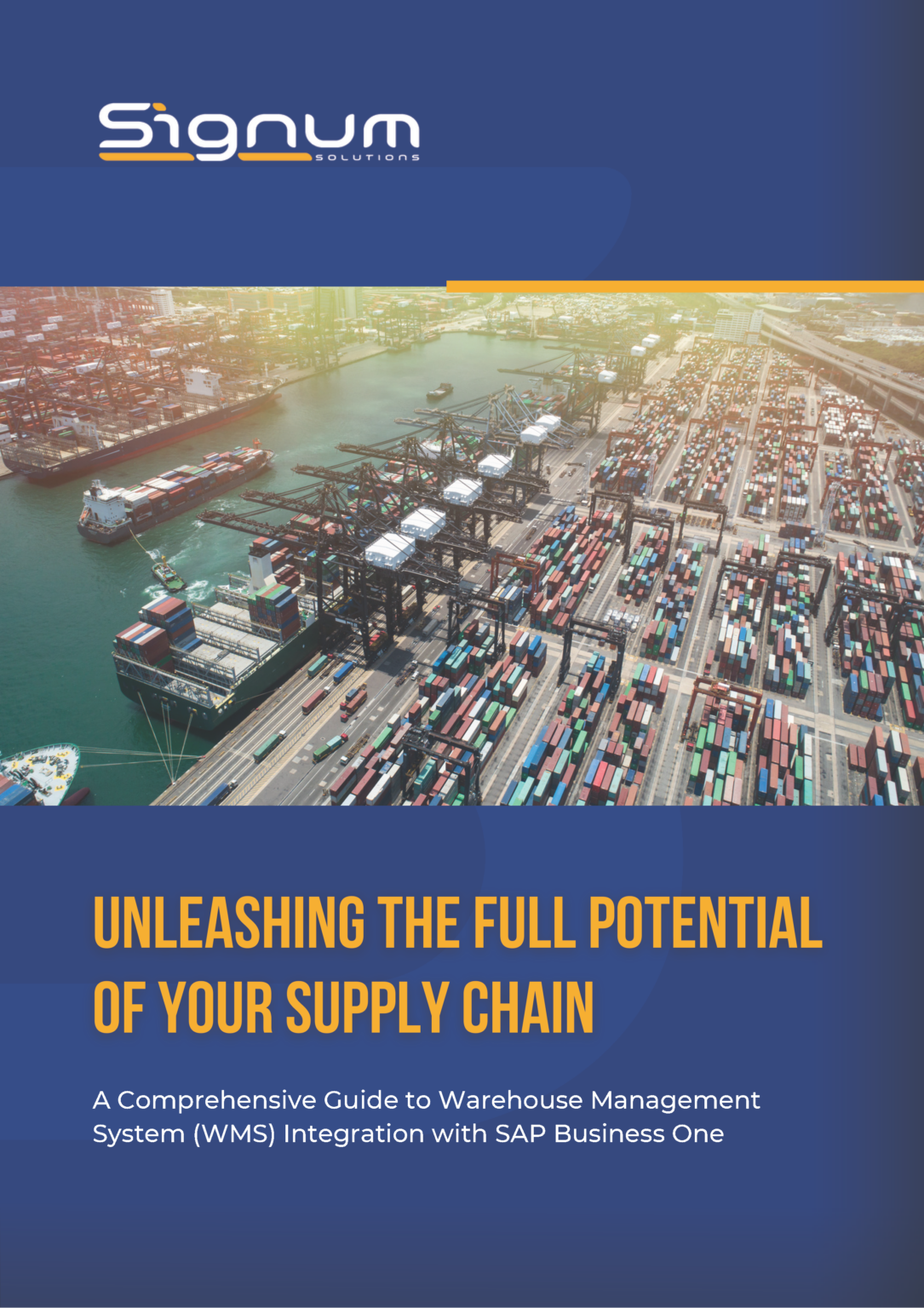 Unleash The Potential of Your Supply Chain - Free Whitepaper