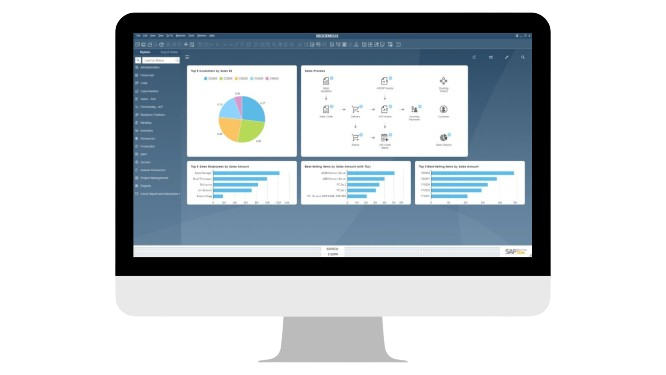 What to Expect from a SAP Business One Demo - Signum Solutions